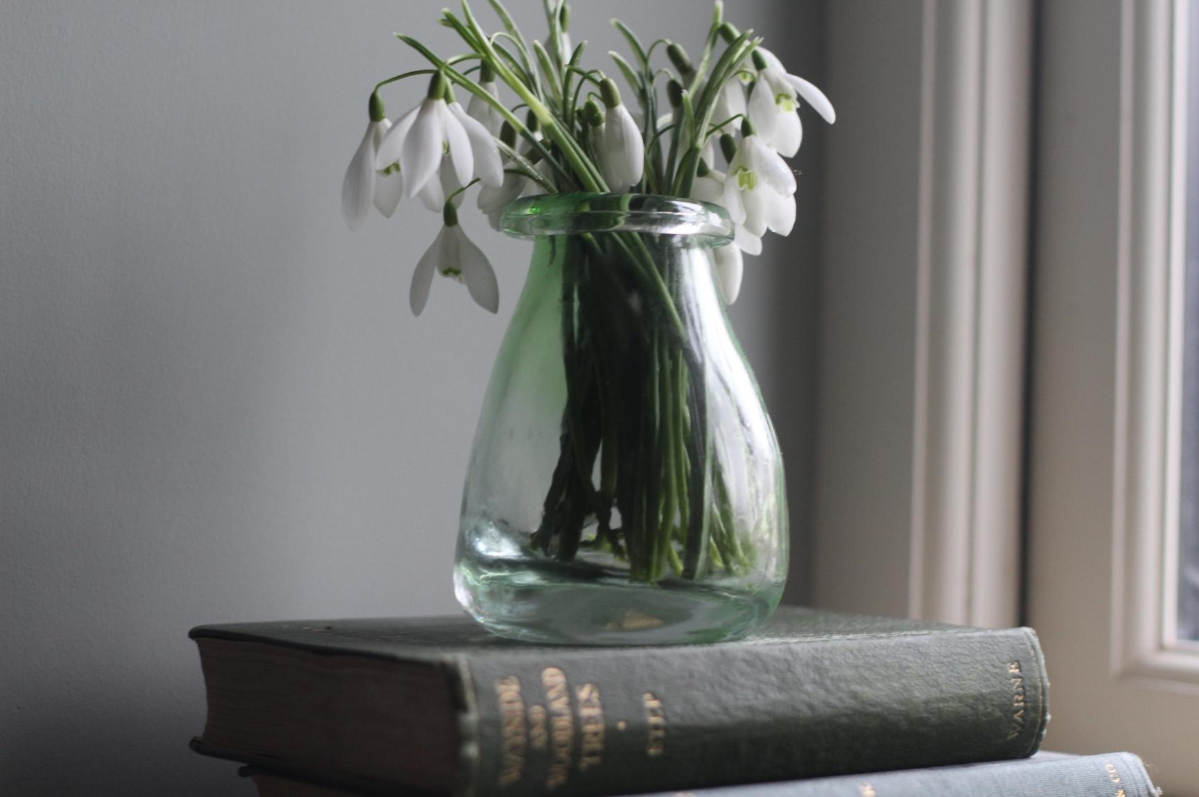 Snowdrops and where to visit to enjoy them – Pod & Pip